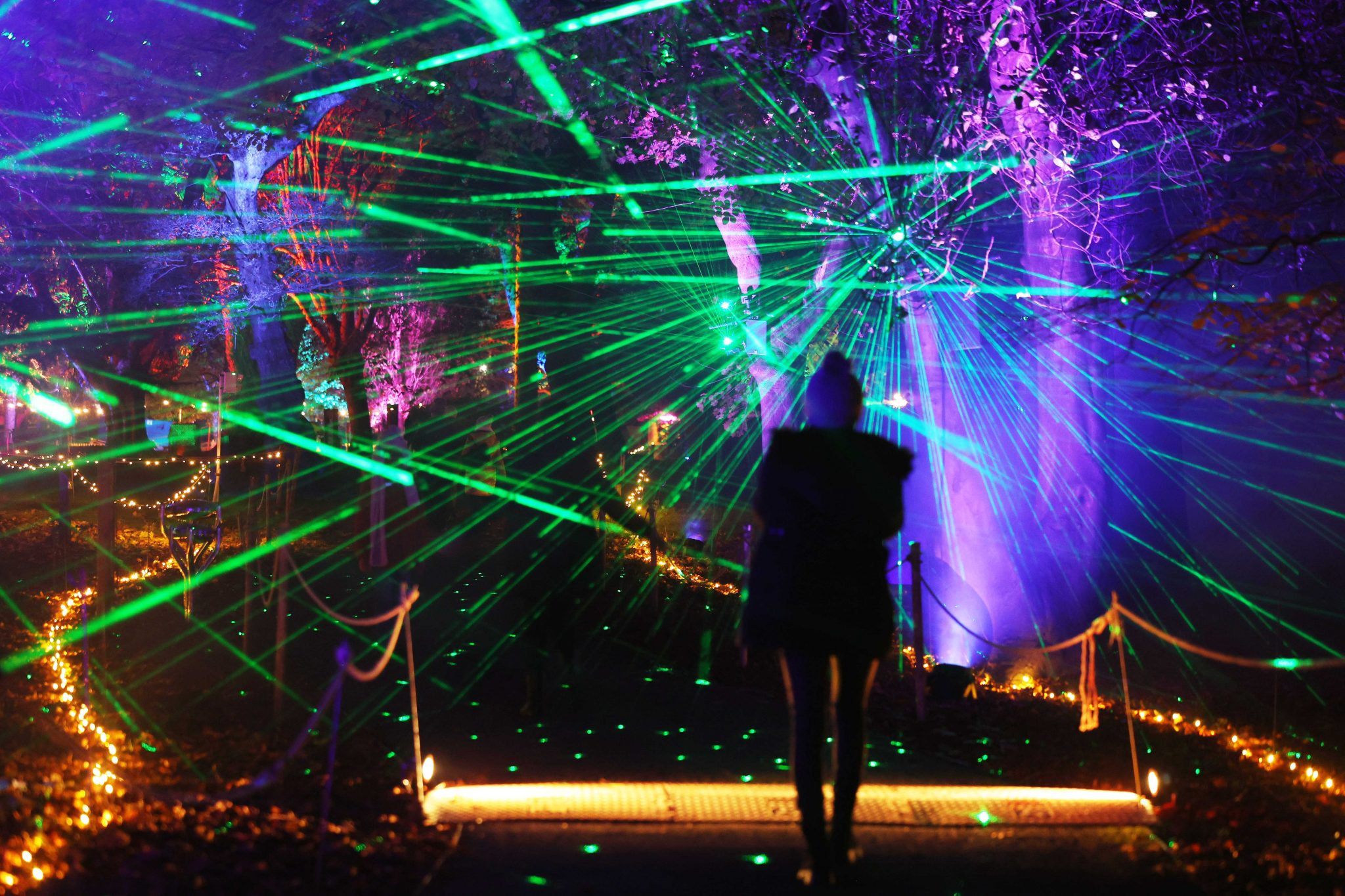 New for 2025 - Christmas at Bute Park