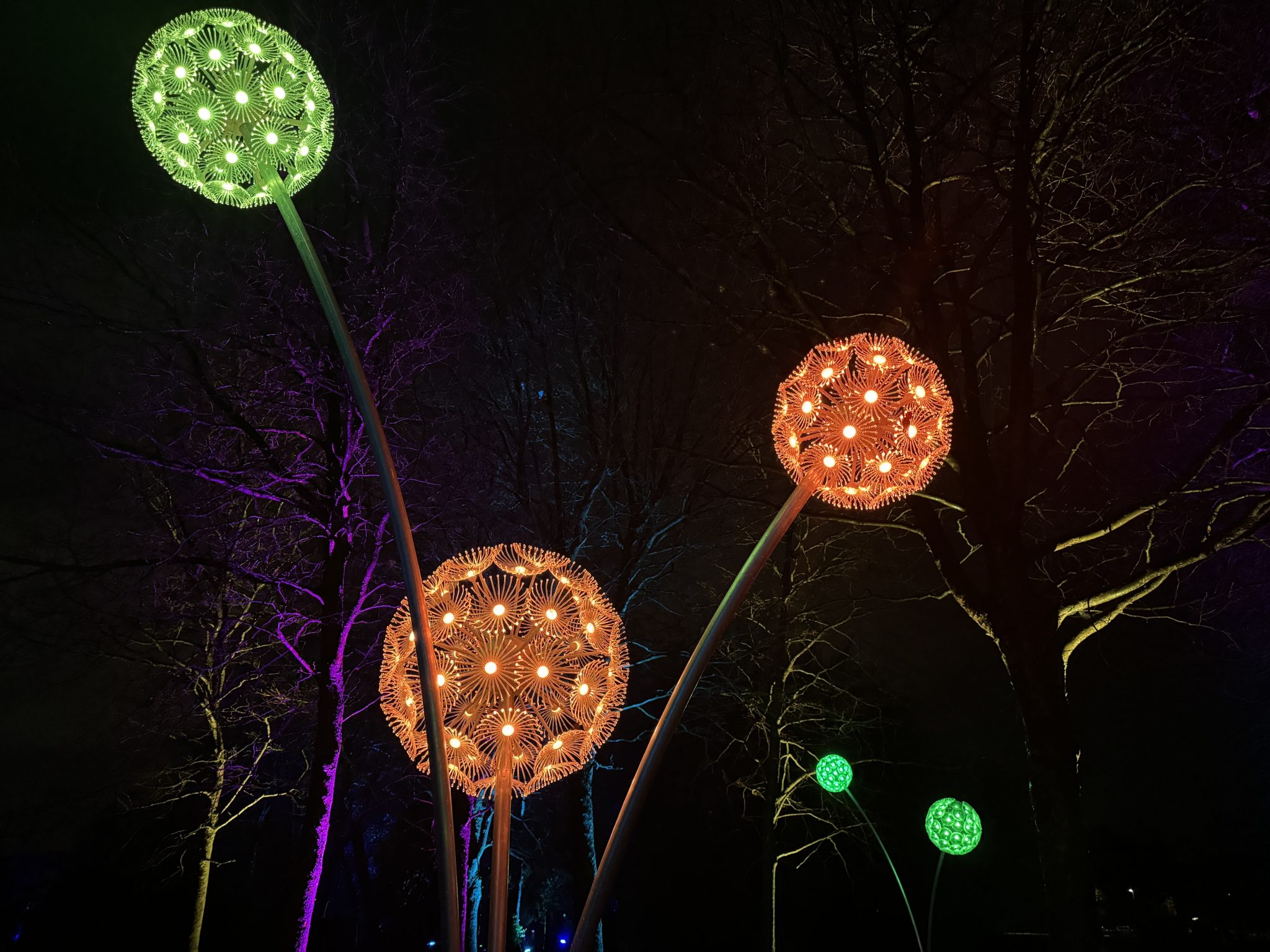 New for 2025 - Christmas at Bute Park