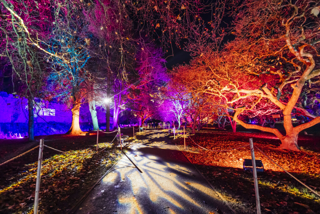 FAQs - Christmas at Bute Park