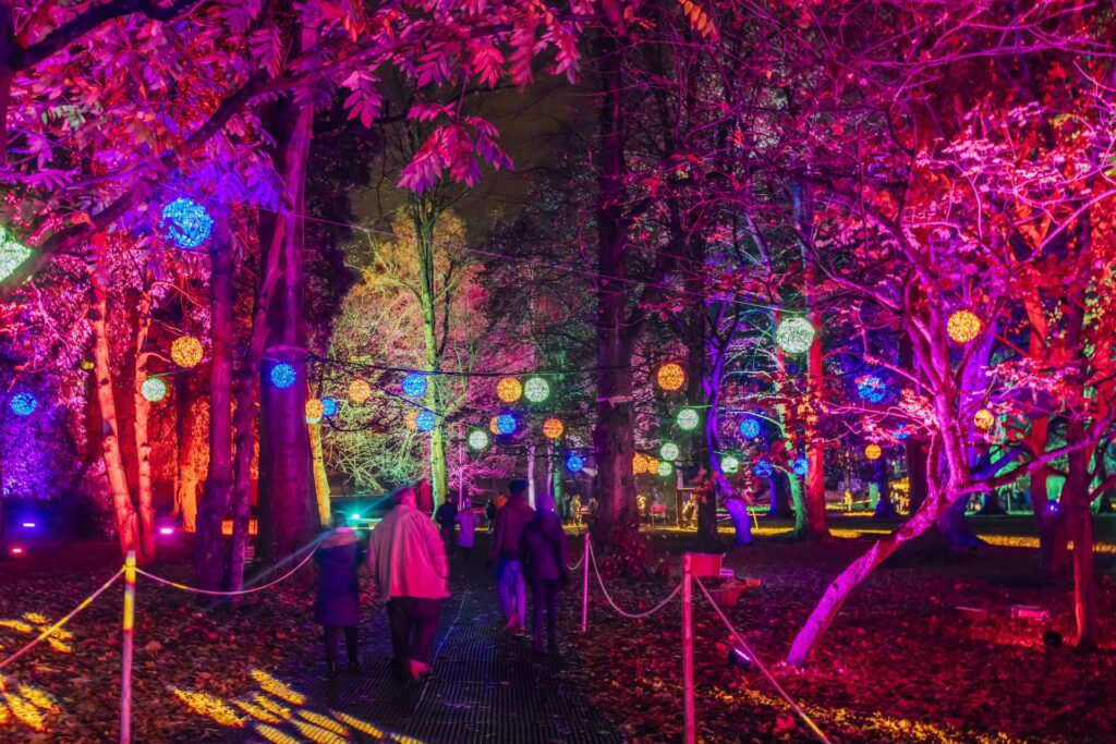 Info - Christmas at Bute Park