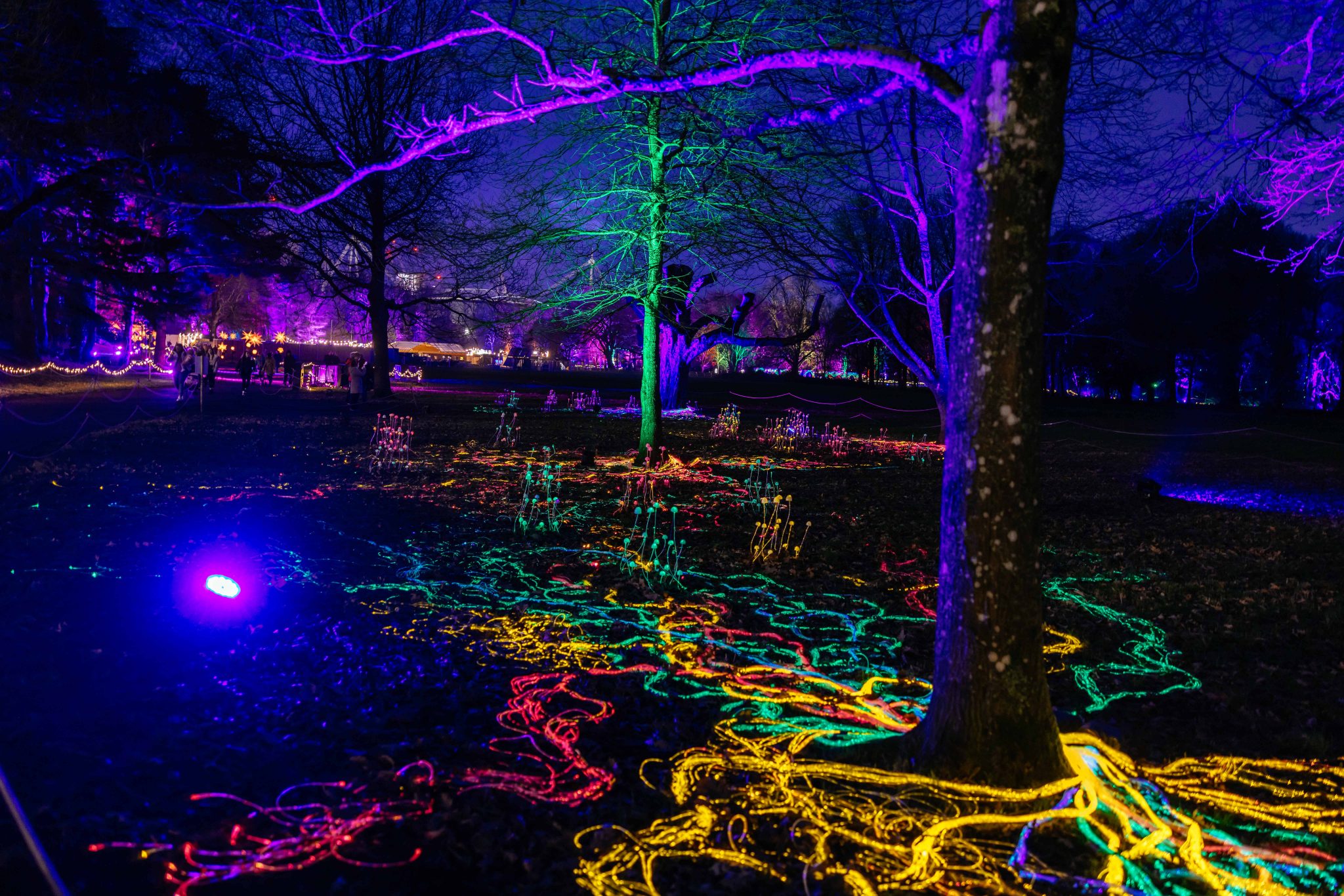 Home - Christmas at Bute Park